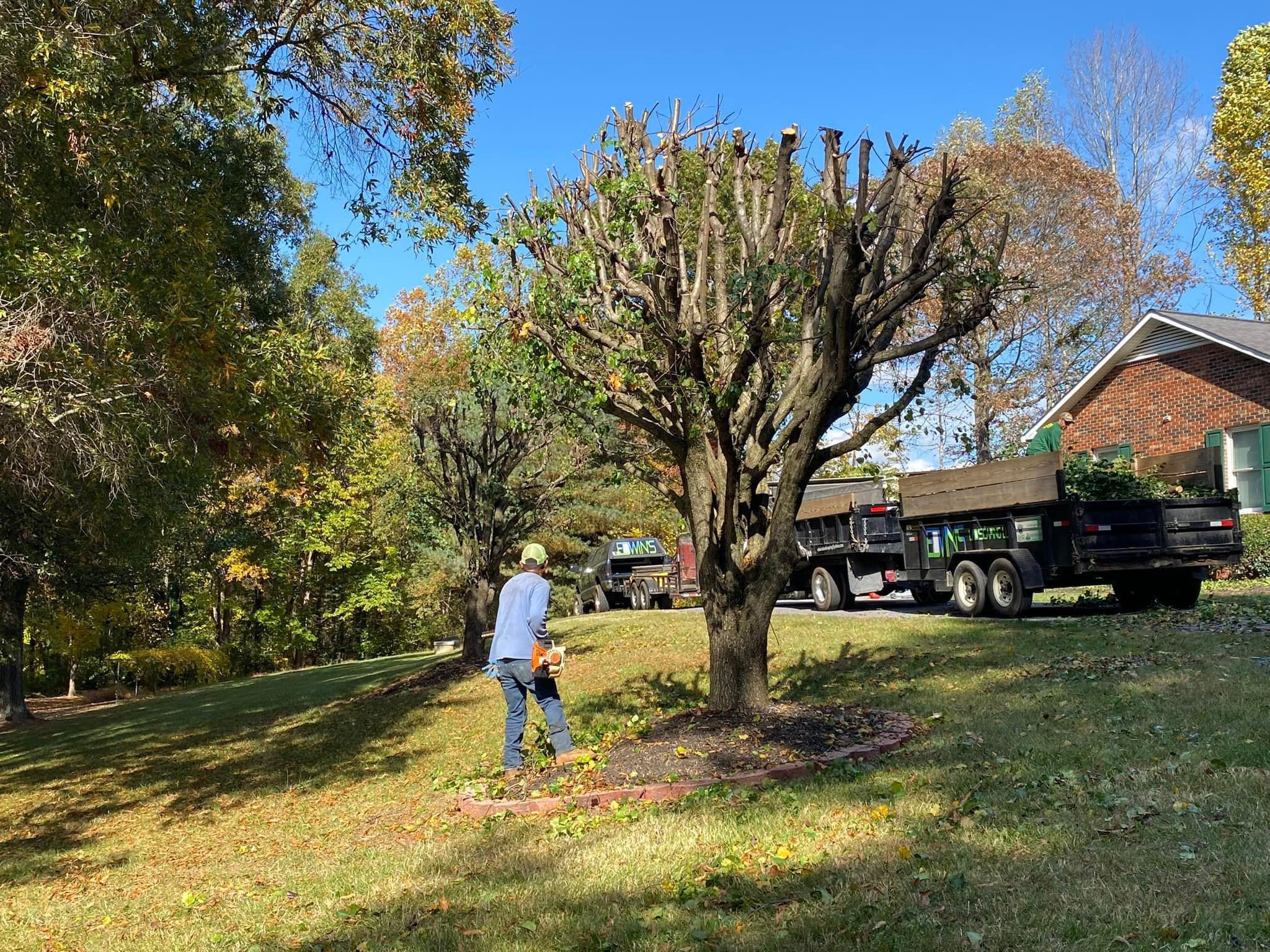 Edwin's Landscaping, LLC – Edwin's Landscaping