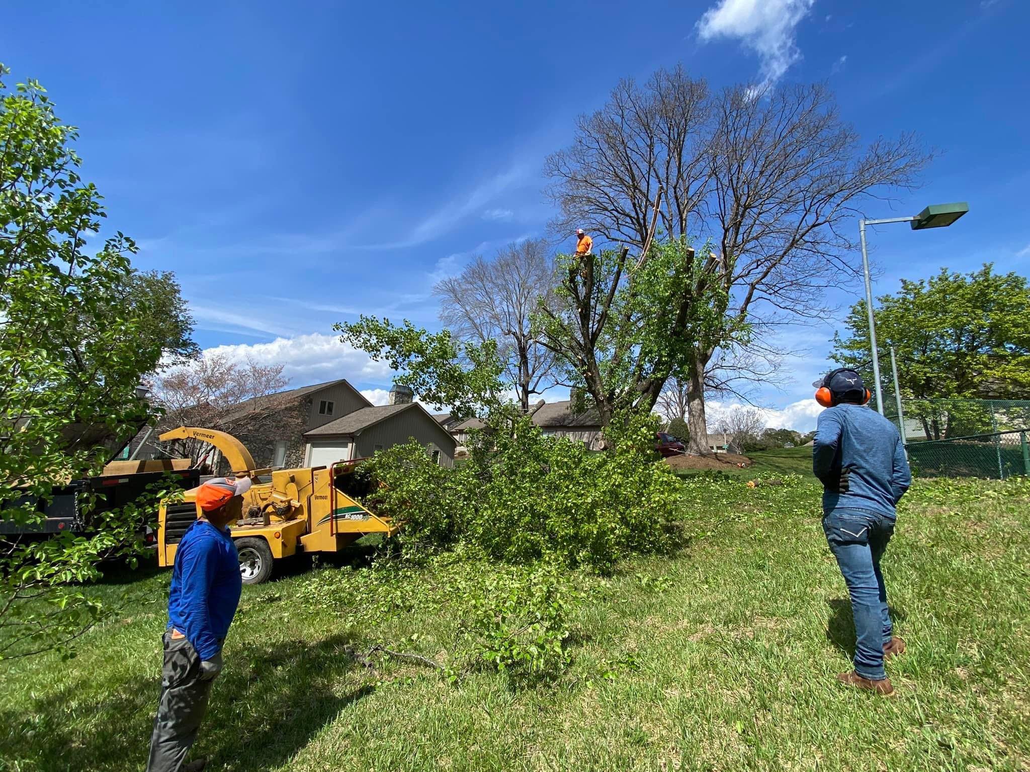 Edwin's Landscaping, LLC – Edwin's Landscaping