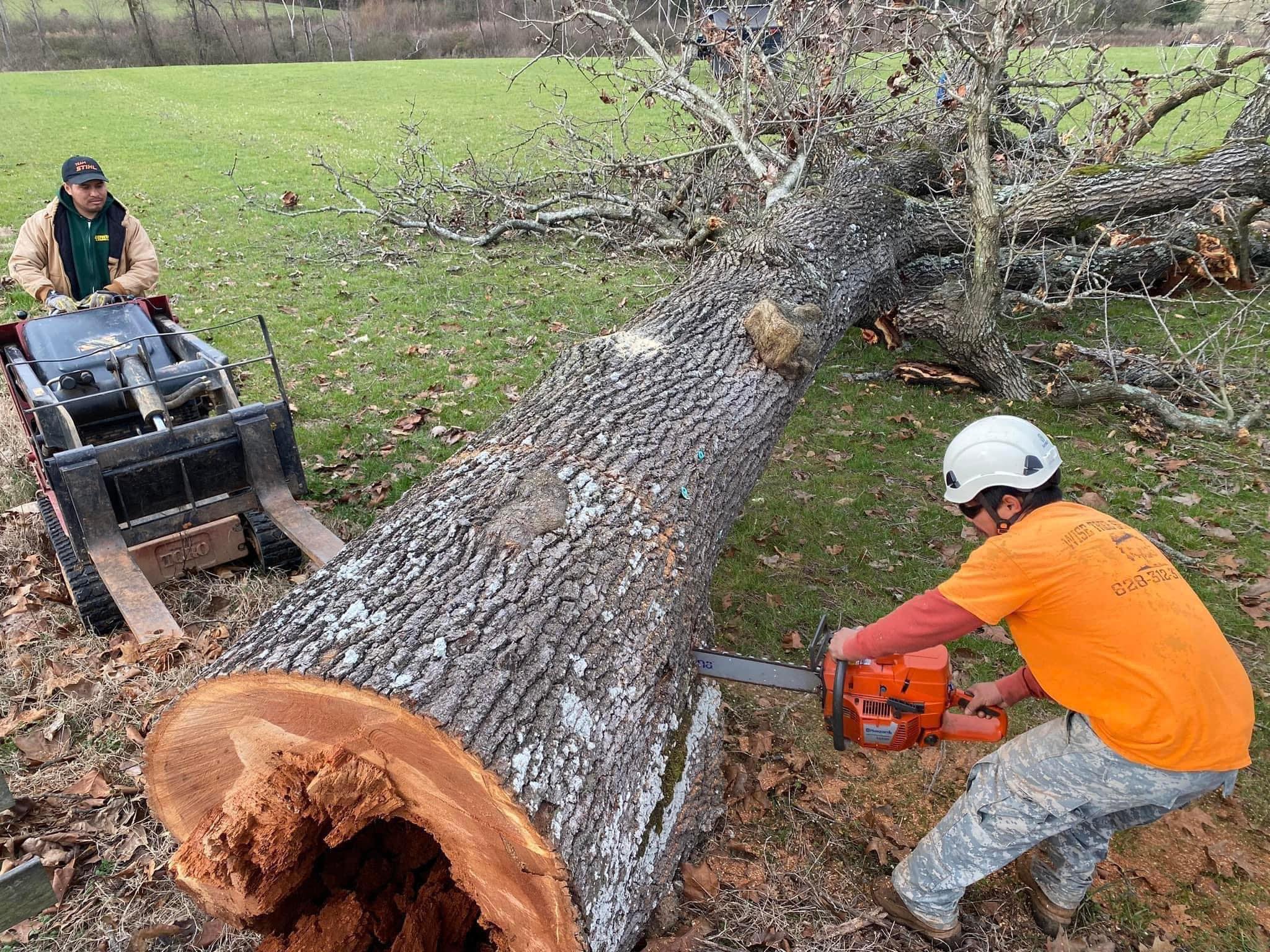 Edwin's Landscaping, LLC – Edwin's Landscaping